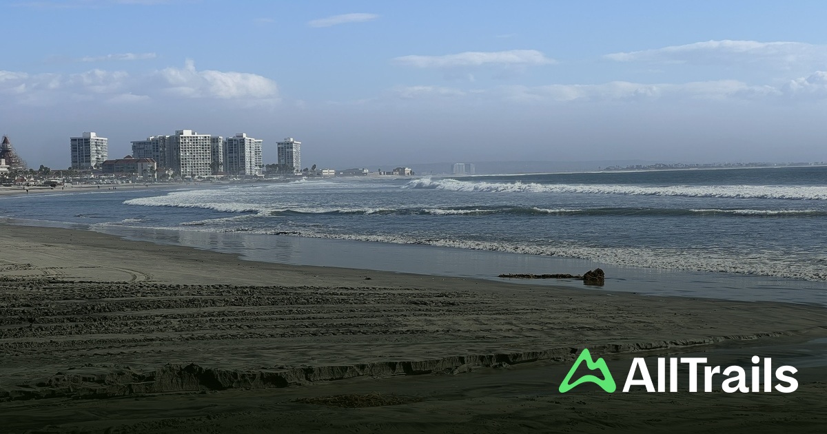 SD Dogs | List | AllTrails