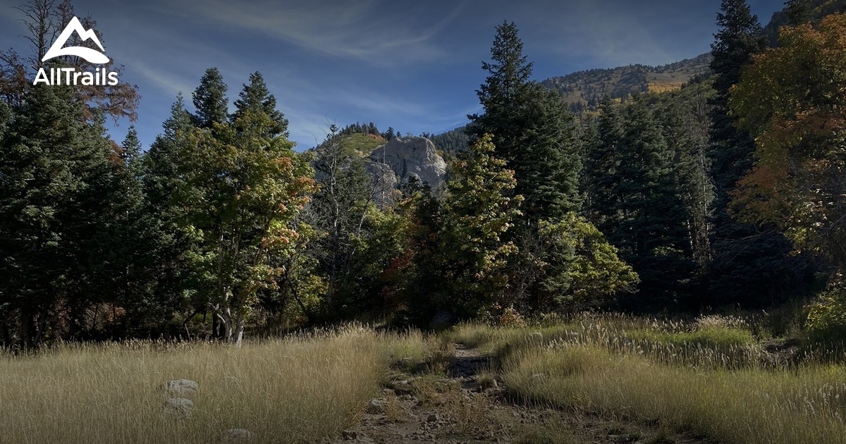 Sledding | List | AllTrails