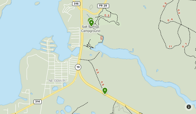 Ocala National Forest | List | AllTrails