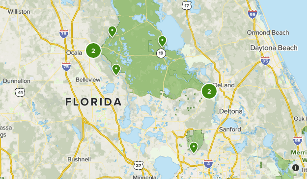 Ocala National Forest | List | AllTrails