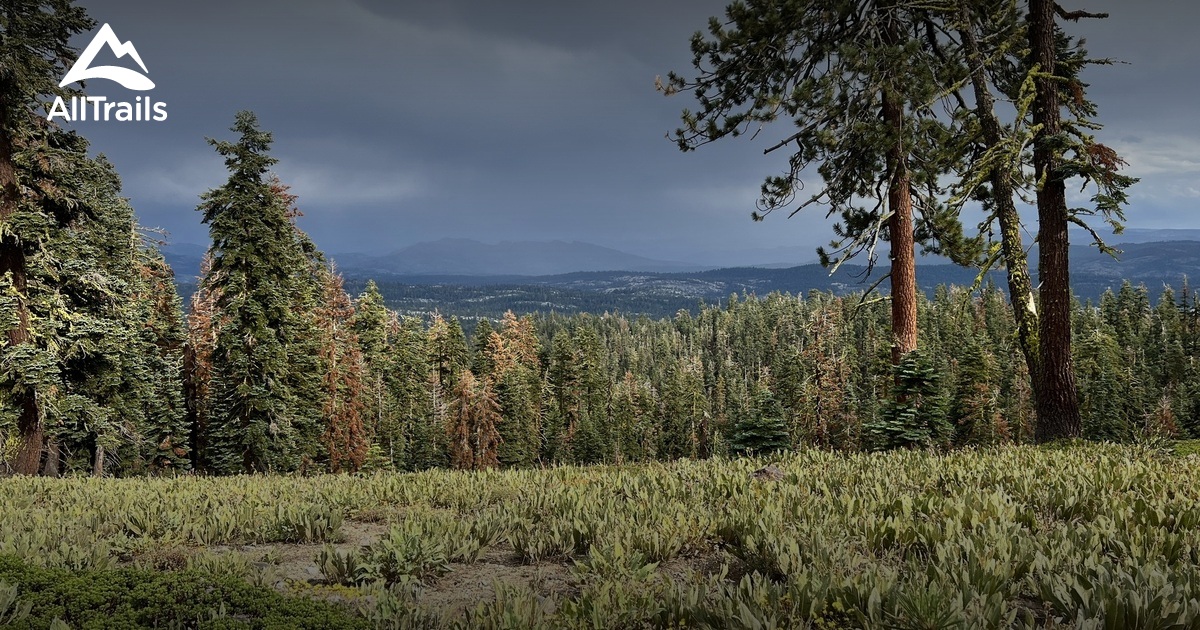 Stanislaus National Forest | List | AllTrails