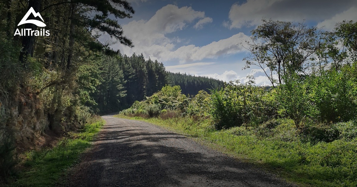 Hill Walks | List | AllTrails