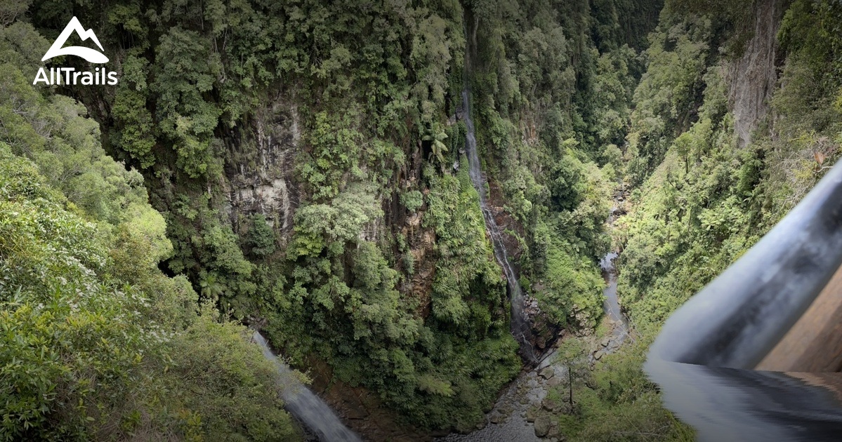 Lamington national park | List | AllTrails