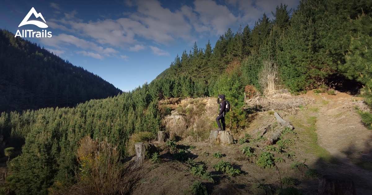 Rotorua | List | AllTrails