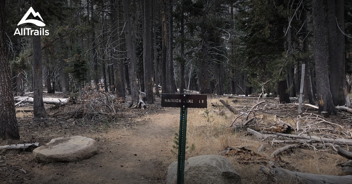 White Wolf/Yosemite | List | AllTrails