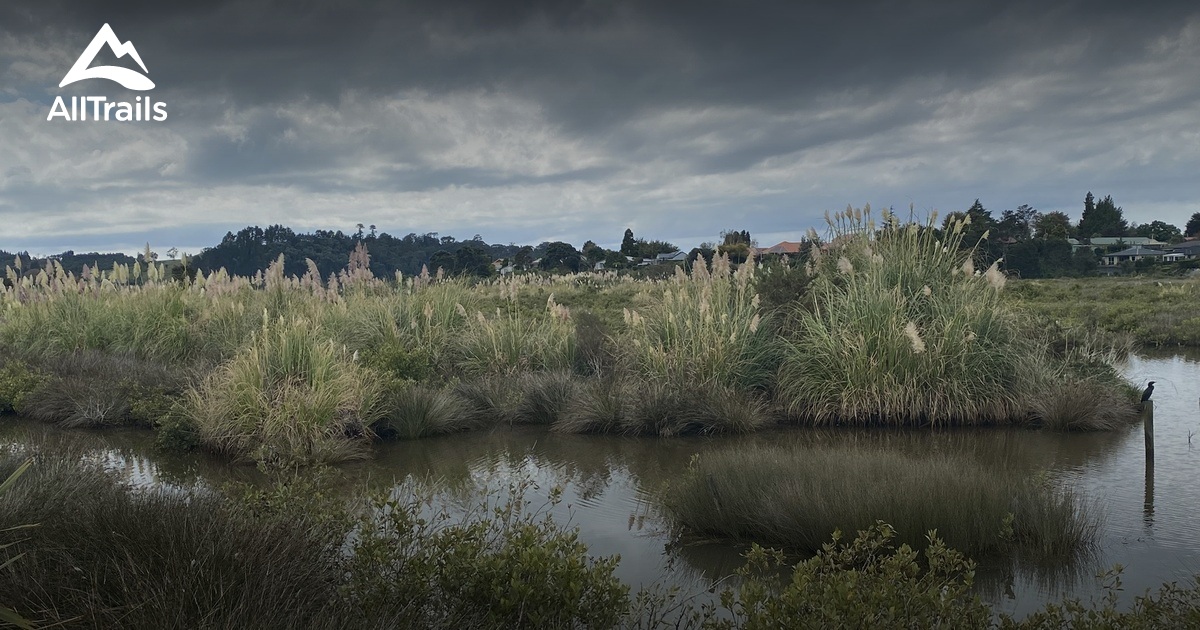 Western Bay of Plenty | List | AllTrails