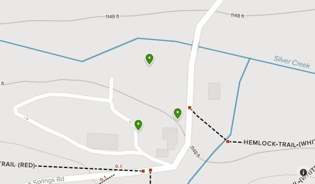 Salt Springs State Park | List | AllTrails