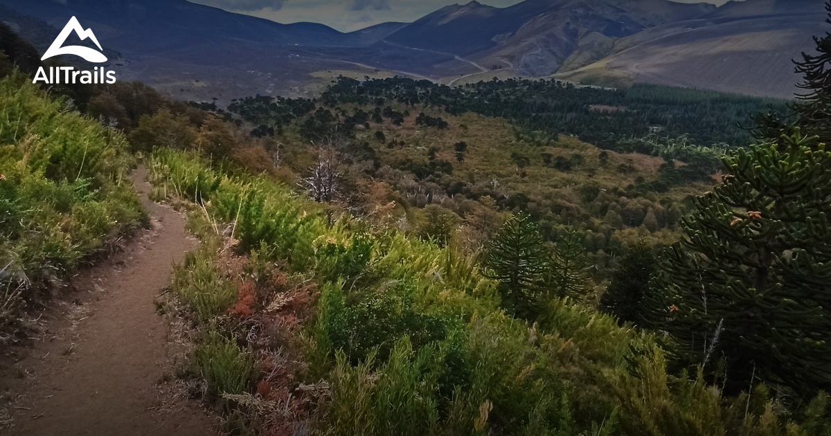 Road Trip Chile | List | AllTrails