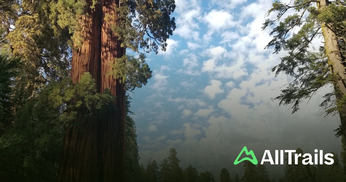 Sequioa | List | AllTrails