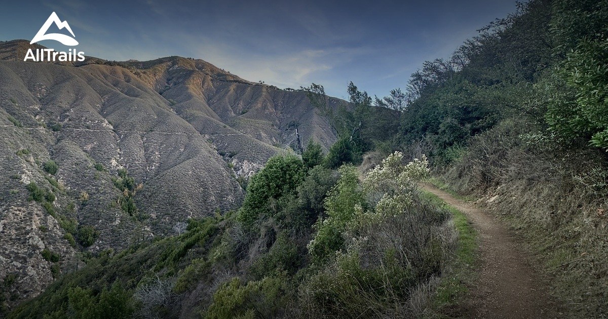 Big Sur | List | AllTrails