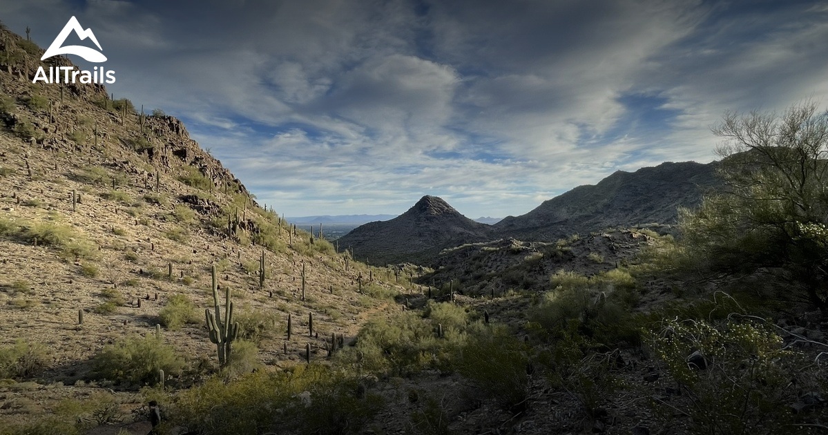 Phoenix Hikes | List | AllTrails