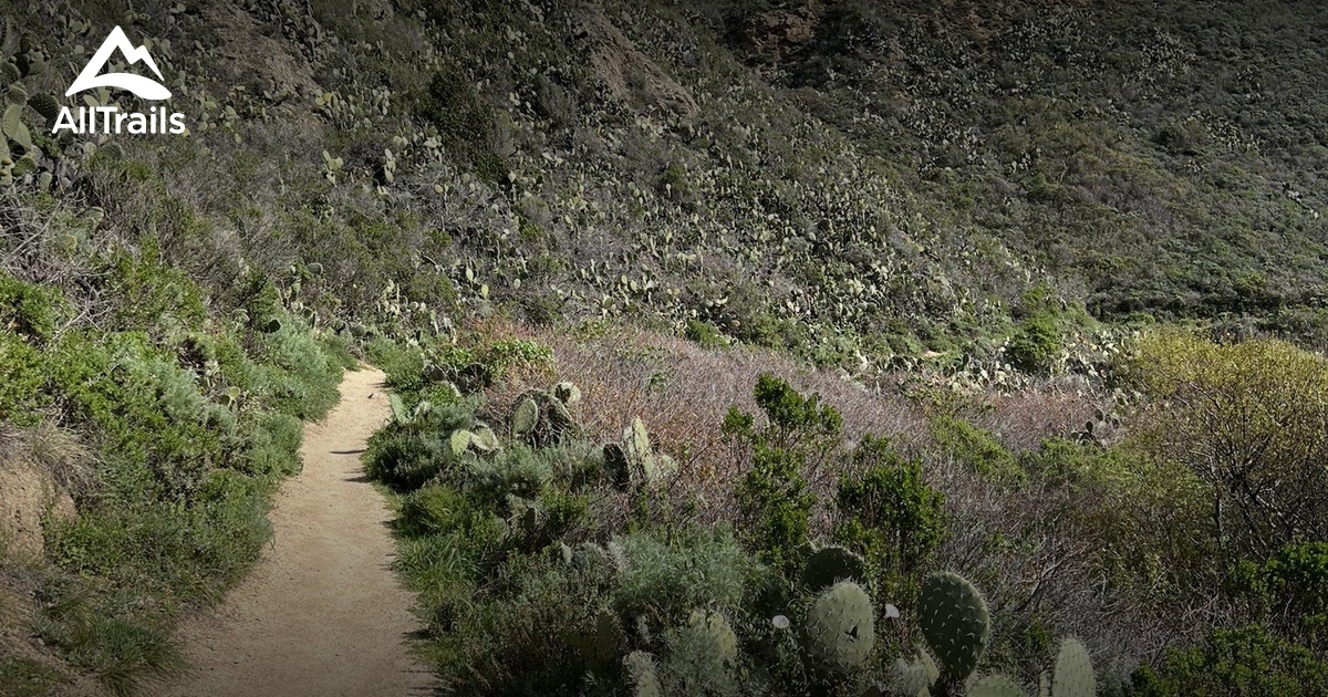 Big Sur | List | AllTrails