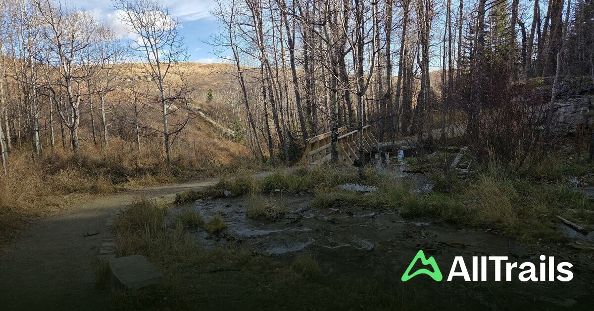 Toddler friendly hikes | List | AllTrails