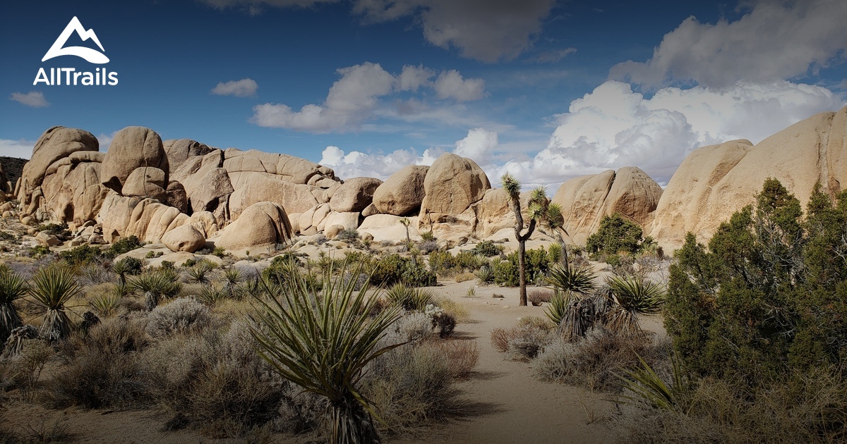 Joshua Tree Hikes | List | AllTrails
