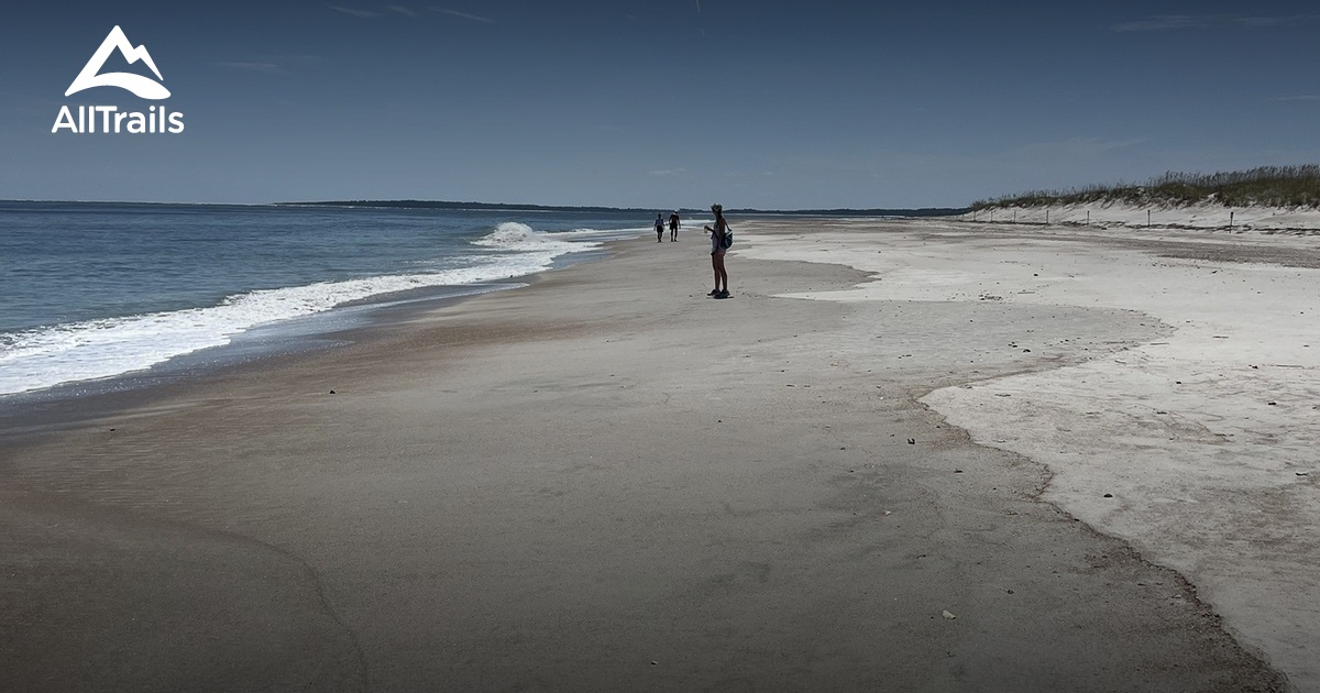 Amelia island | List | AllTrails