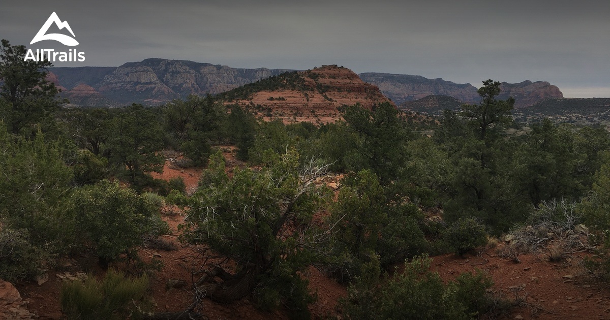 Joey Fox the Joey Fox THE JOEY FOX | List | AllTrails