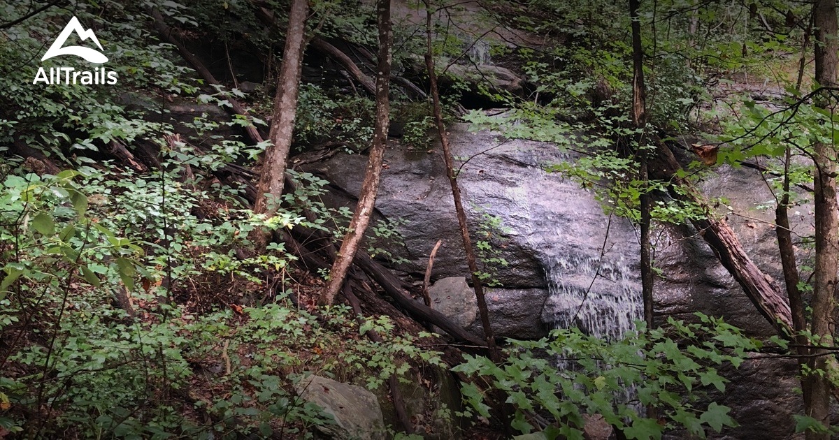 Ashmore Heritage Preserve | List | AllTrails