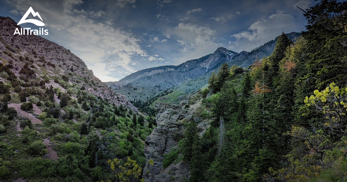 Timp Prep | List | AllTrails