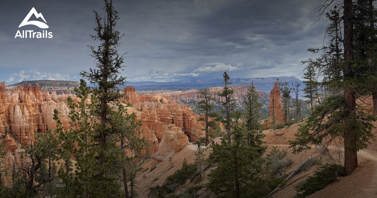 Road Trip with Molly | List | AllTrails