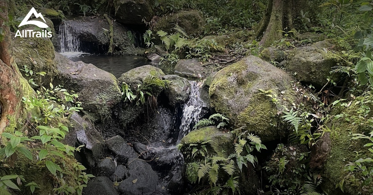 Kid Friendly | List | AllTrails