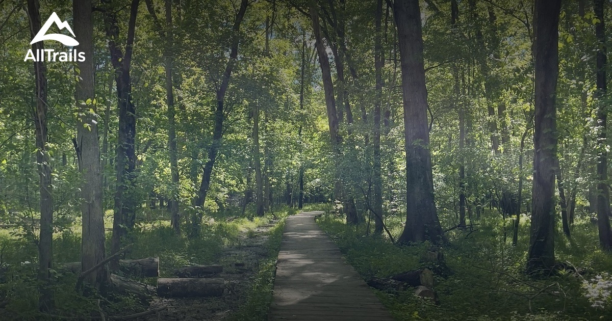 Virginia Hikes | List | AllTrails