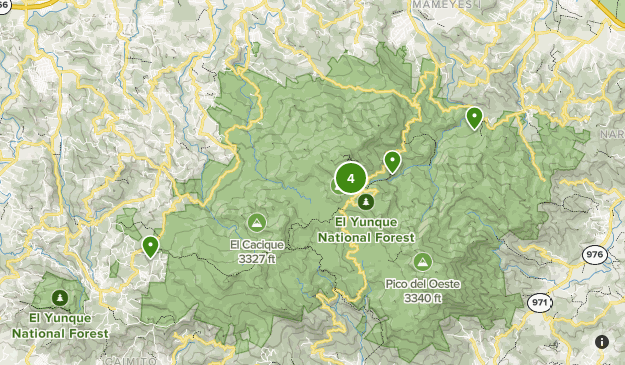 El Yunque | List | AllTrails