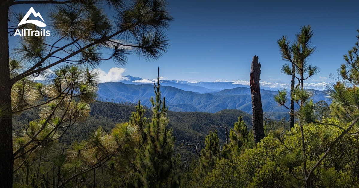 Pico Duarte | List | AllTrails