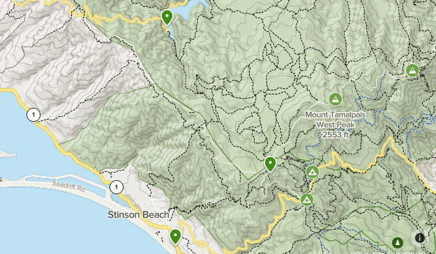 Mt. Tam | List | AllTrails