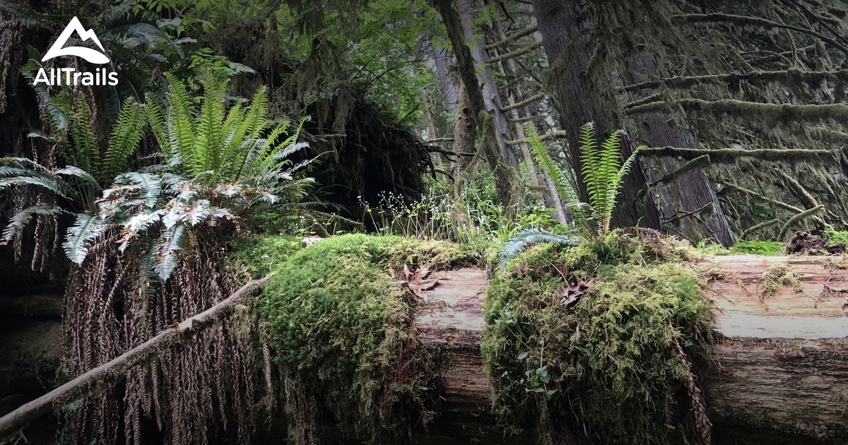 Cascade Loop | List | AllTrails