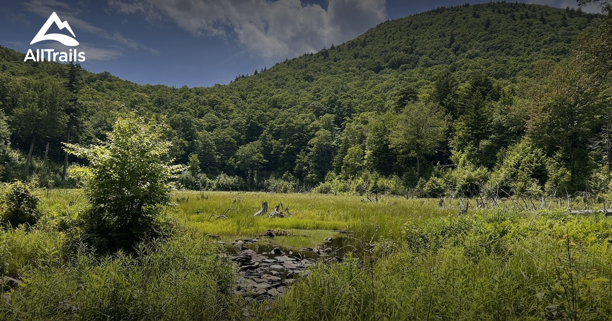 Catskills | List | AllTrails