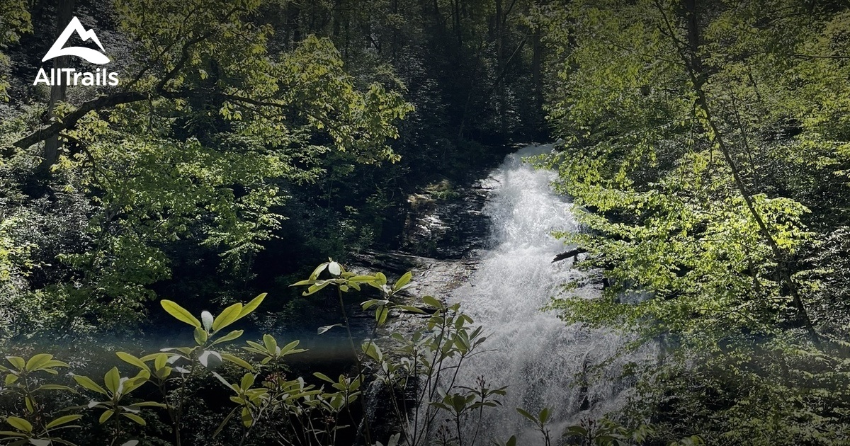 Around Vogel State Park | List | AllTrails