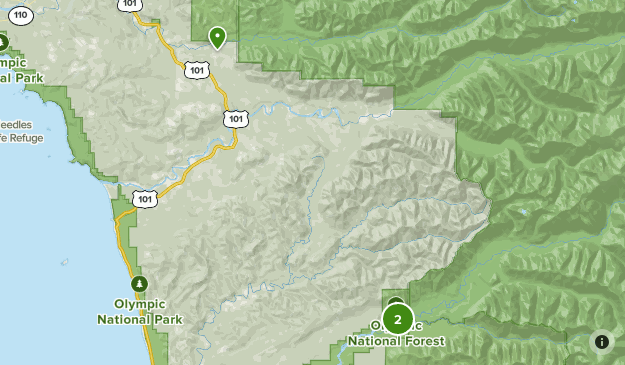 Queets rainforest | List | AllTrails