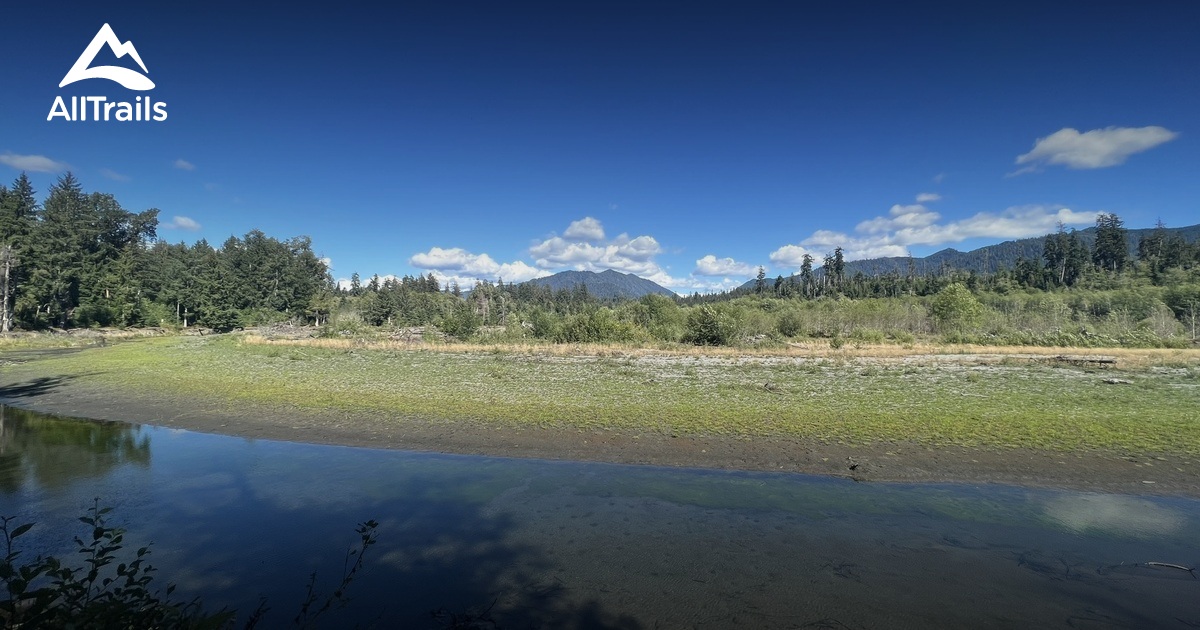 Queets rainforest | List | AllTrails