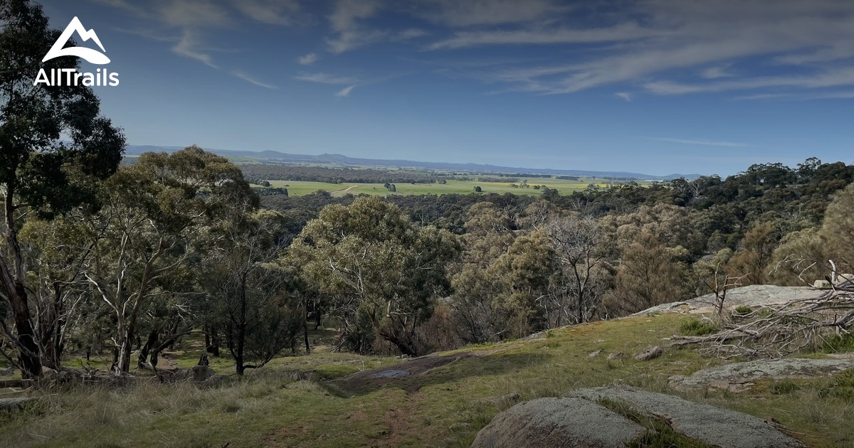 Dog Friendly (Goldfields) | List | AllTrails
