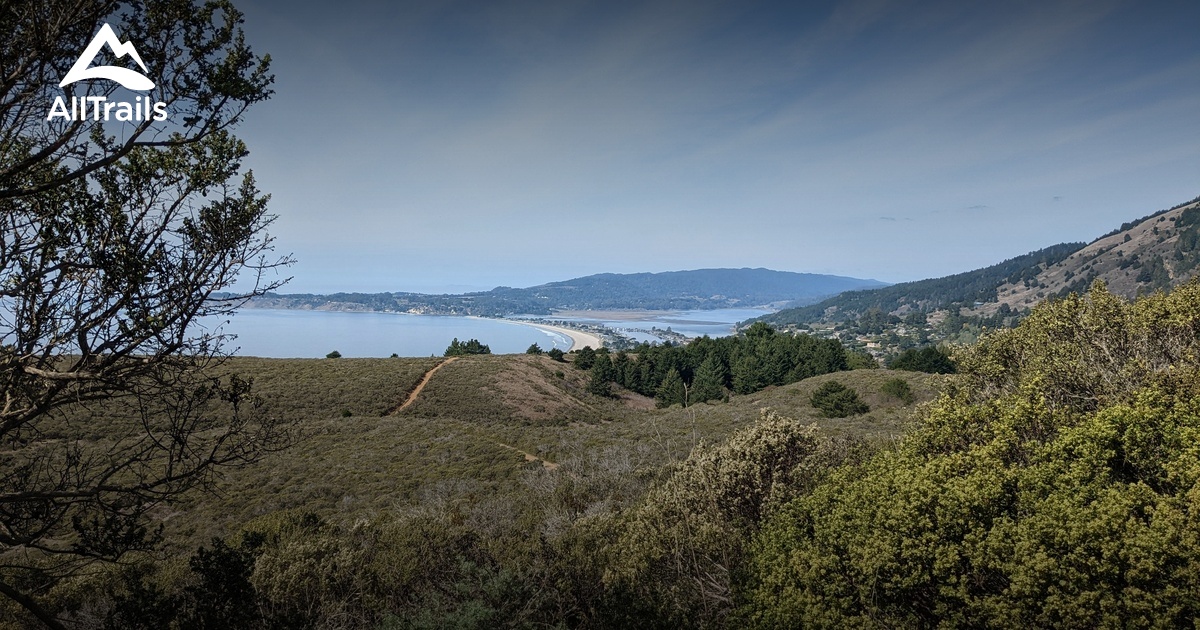 mount tam | List | AllTrails