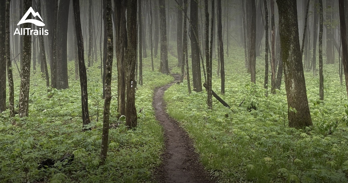 Appalachian Trail: Tennessee: Best Day Hikes | List | AllTrails