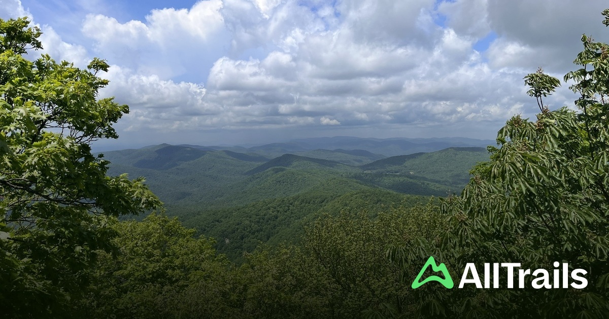 Vogel | List | AllTrails