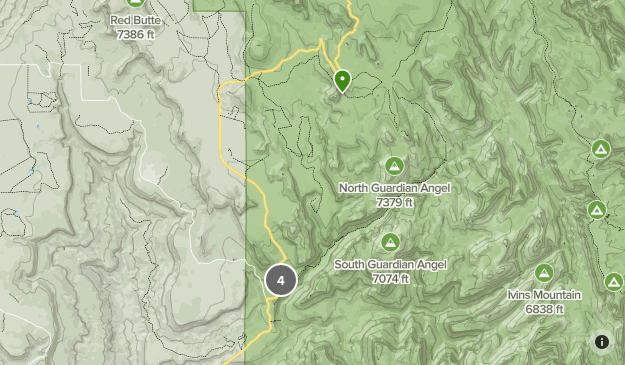 Zion subway trail hike | List | AllTrails