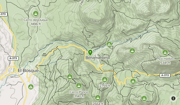 El Bosque | List | AllTrails