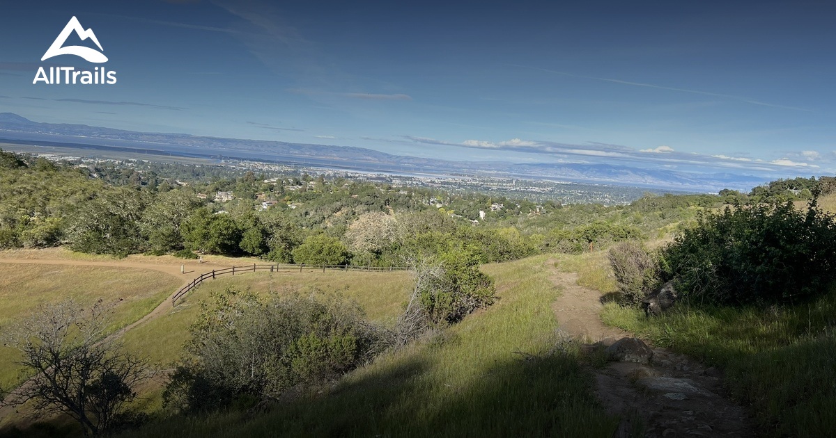 Redwood | List | AllTrails