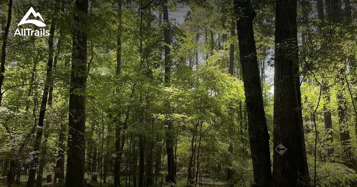 Camp Hamilton Branch On The Lake | List | AllTrails