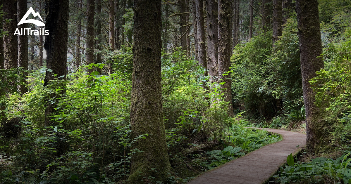 Redwoods | List | AllTrails