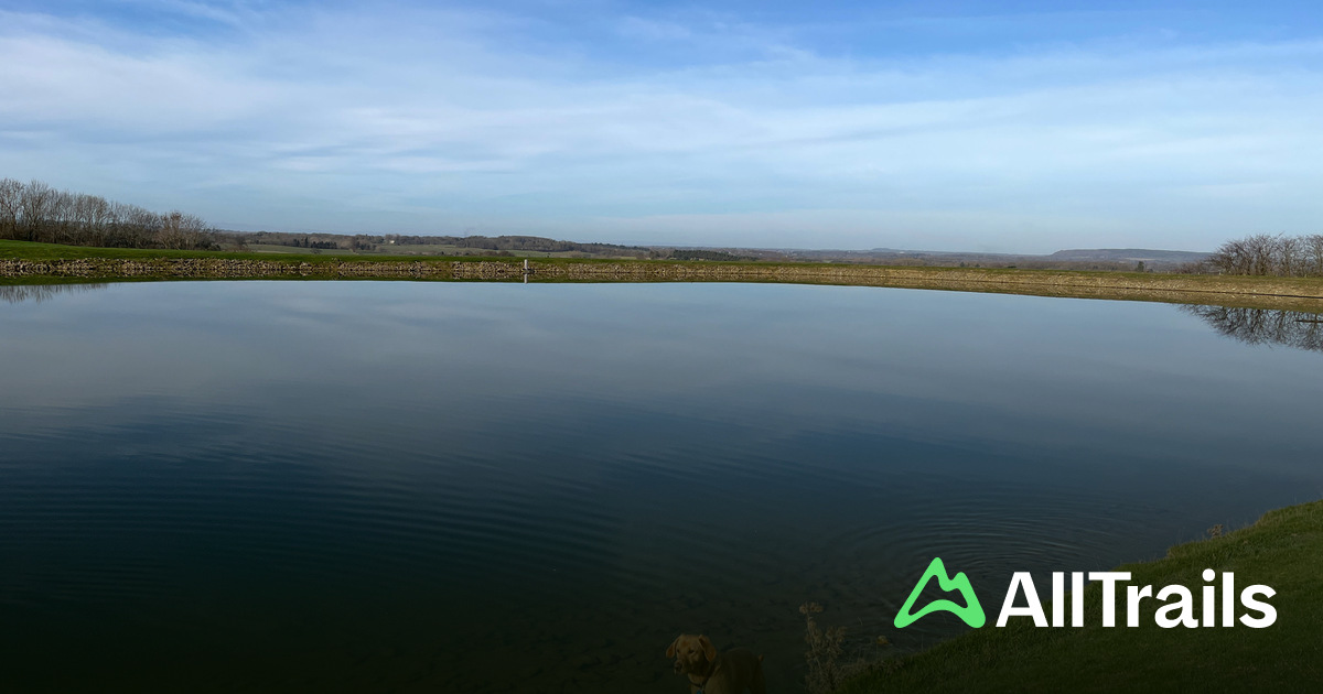 Walks Near The Riverside Inn, Cound | List | AllTrails