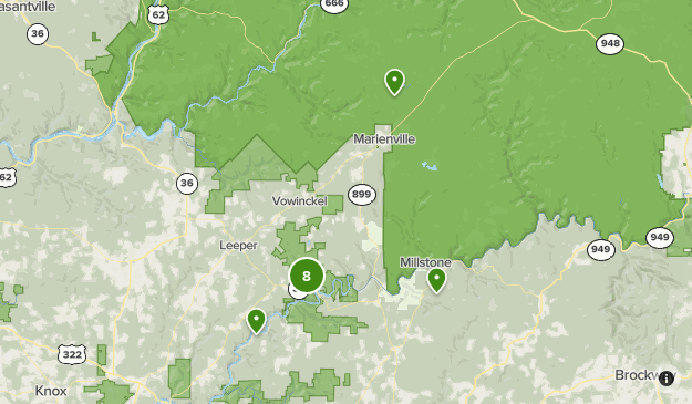 Cook Forest | List | AllTrails