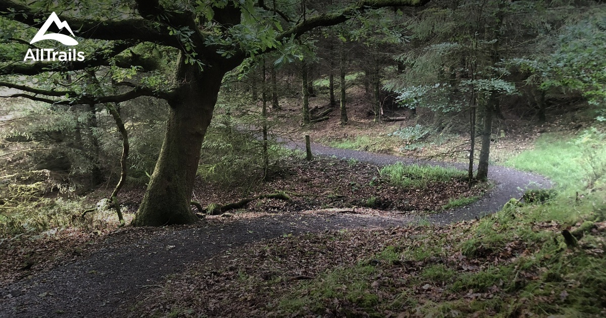 Local Trails | List | AllTrails