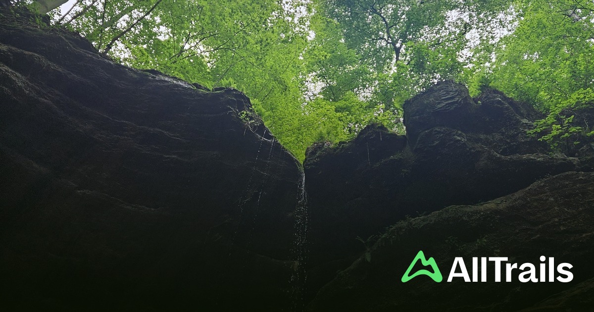 Mohican State Park Hikes | List | AllTrails