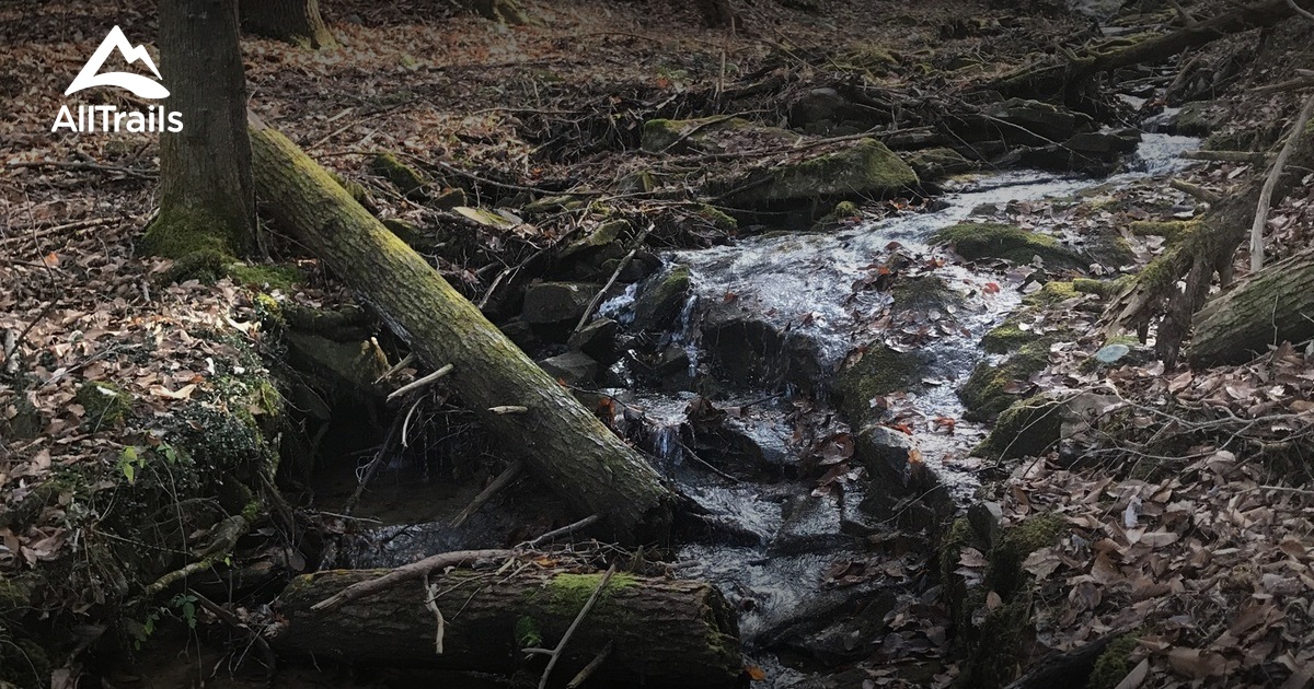 Frozen Head | List | AllTrails