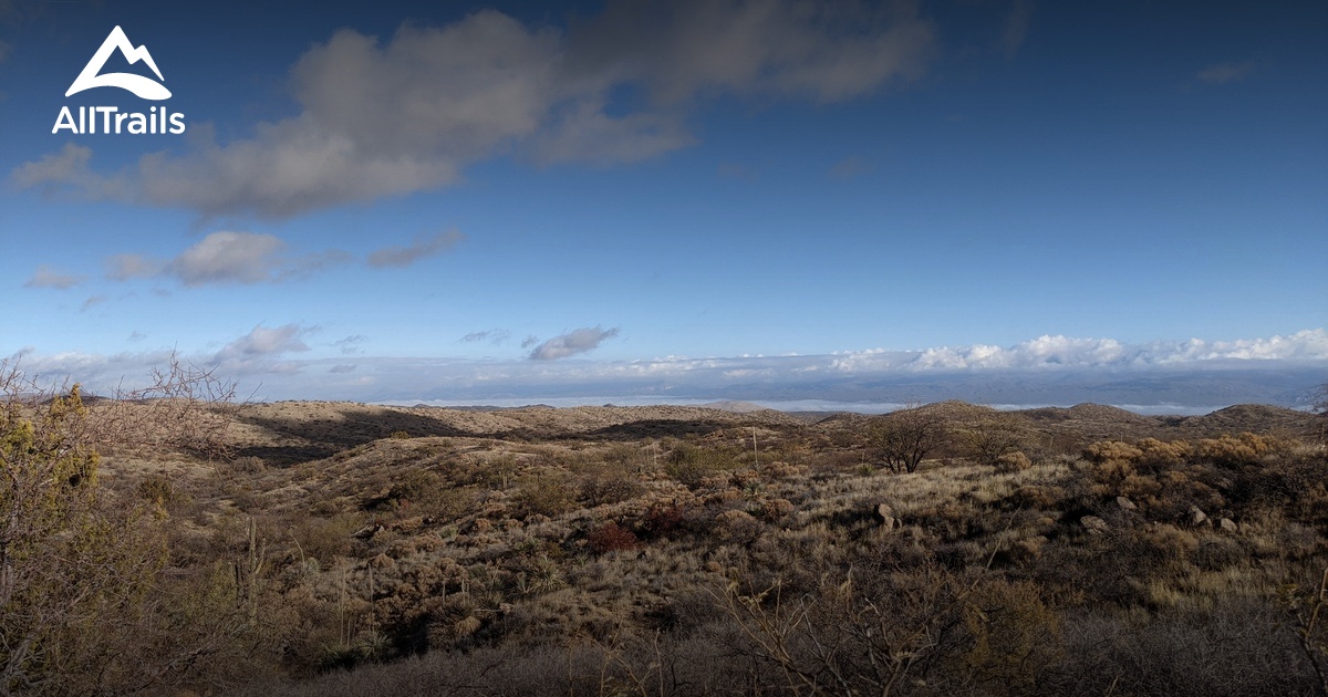 Tucson Oracle State Park | List | AllTrails