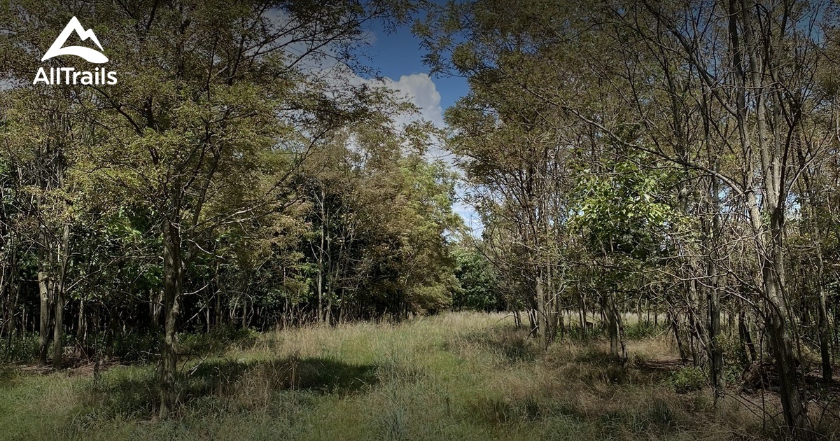 Michaux | List | AllTrails