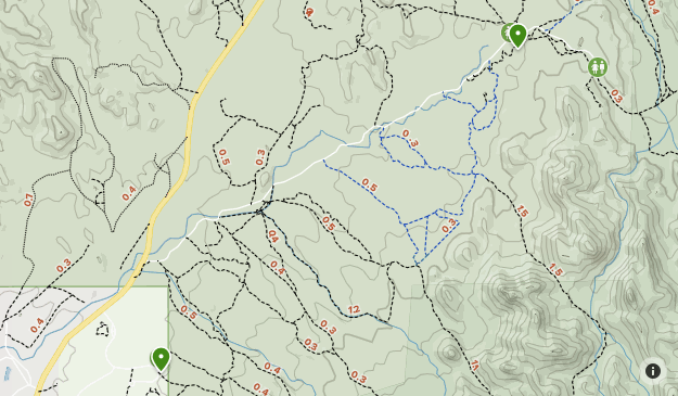 Lost Dutchman | List | AllTrails